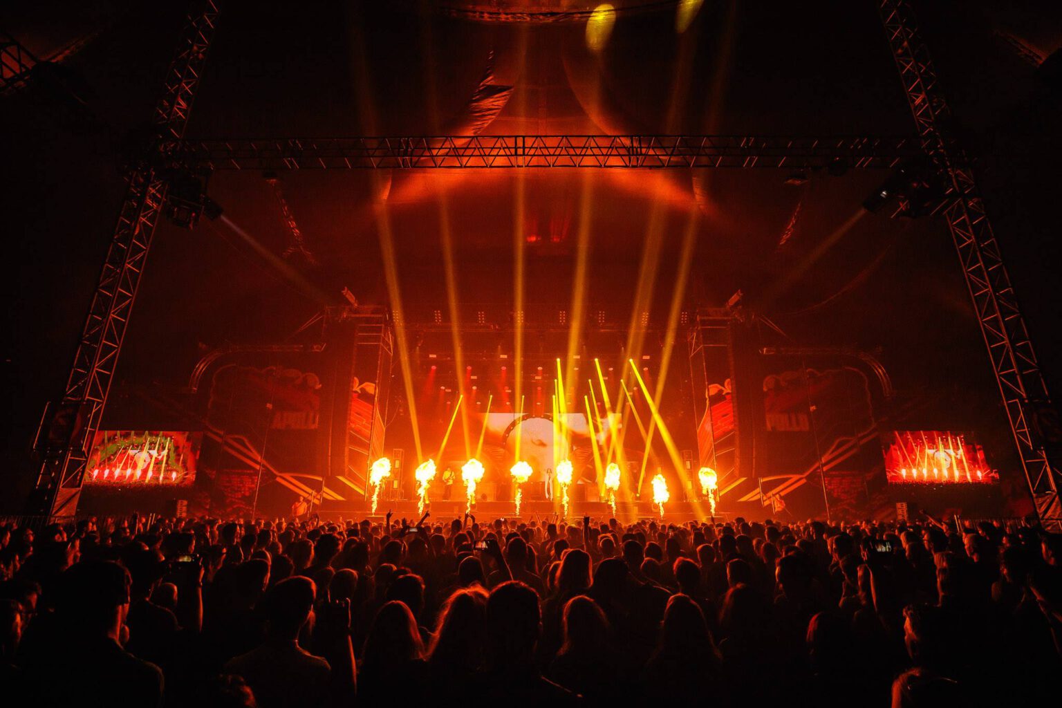 Live Events | Purple Group