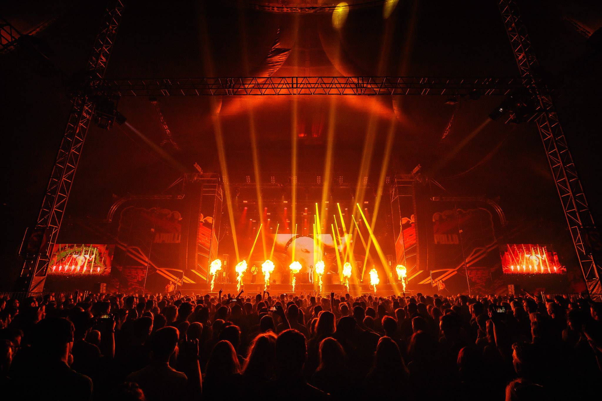 Live Events | Purple Group