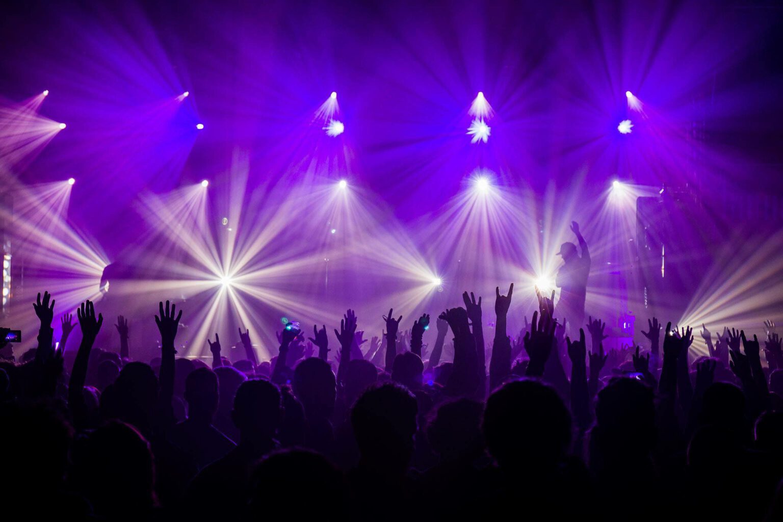 Services | Purple Group